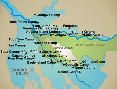 "INSIGNE Y REAL BASILICA CATEDRAL DE LA ASUNCION DE LA BIENAVENTURADA ...